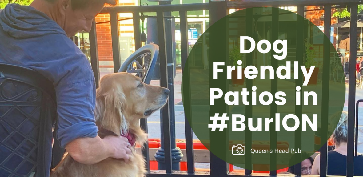 Dog Friendly Patios Taste Of Burlington Dog Friendly Patios Taste Of Burlington